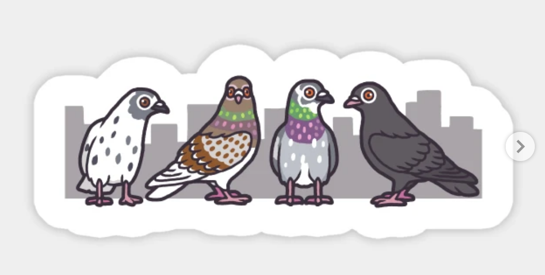 Bird fanciers unite: pigeon stickers are Here! - Pipe Wrench newsletter